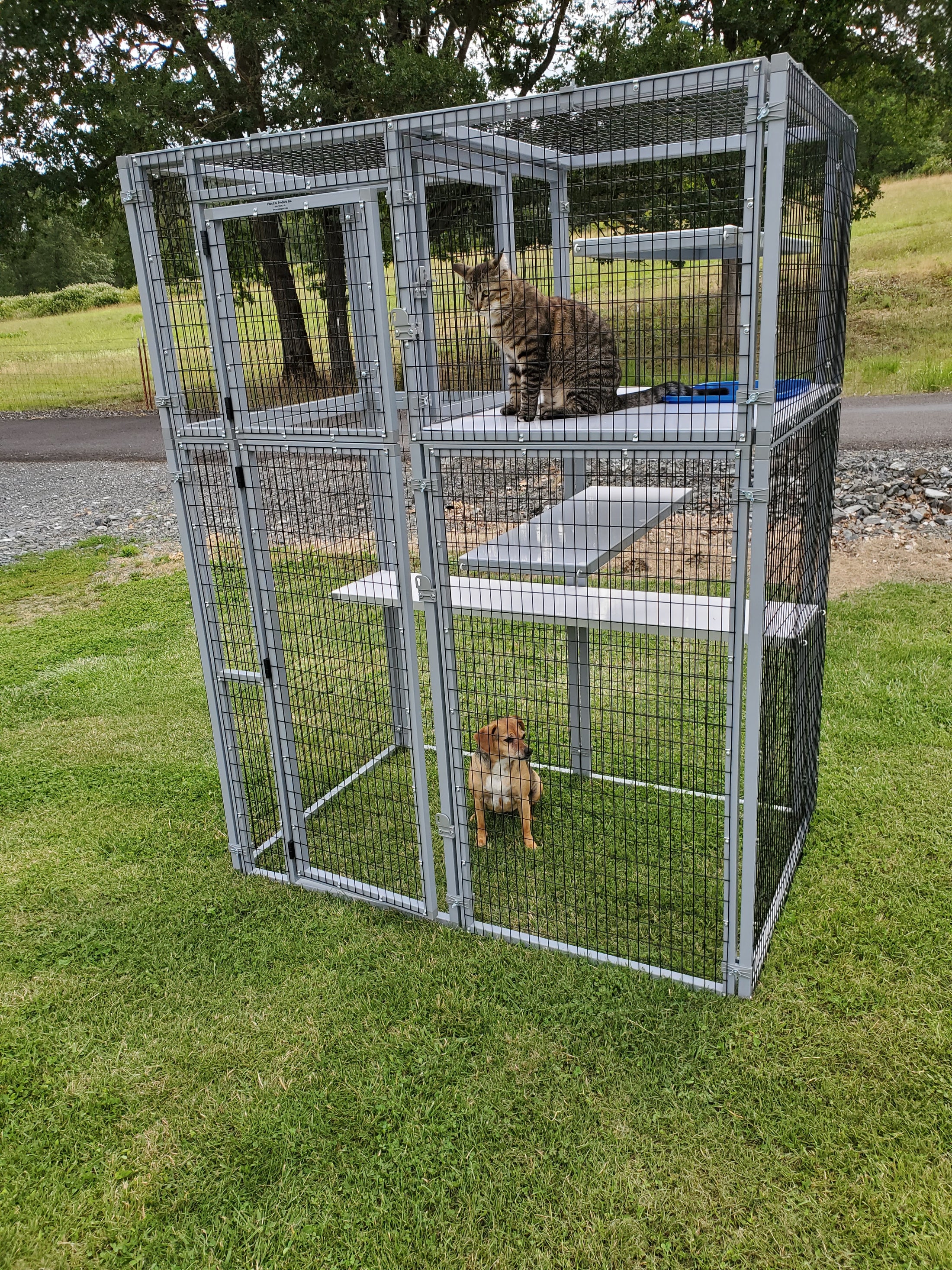 WALK-IN ENCLOSURE MODEL 535-A – My Pet Cages
