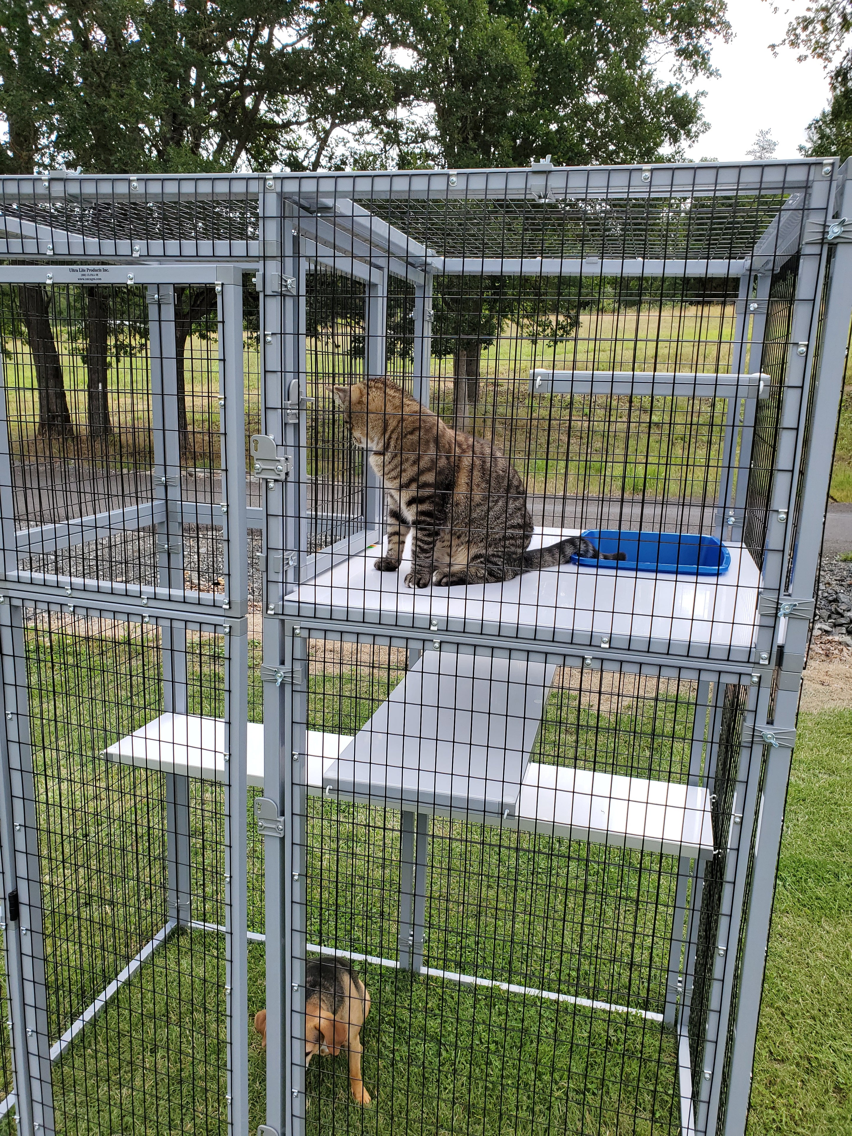 WALK-IN ENCLOSURE MODEL 535-A – My Pet Cages