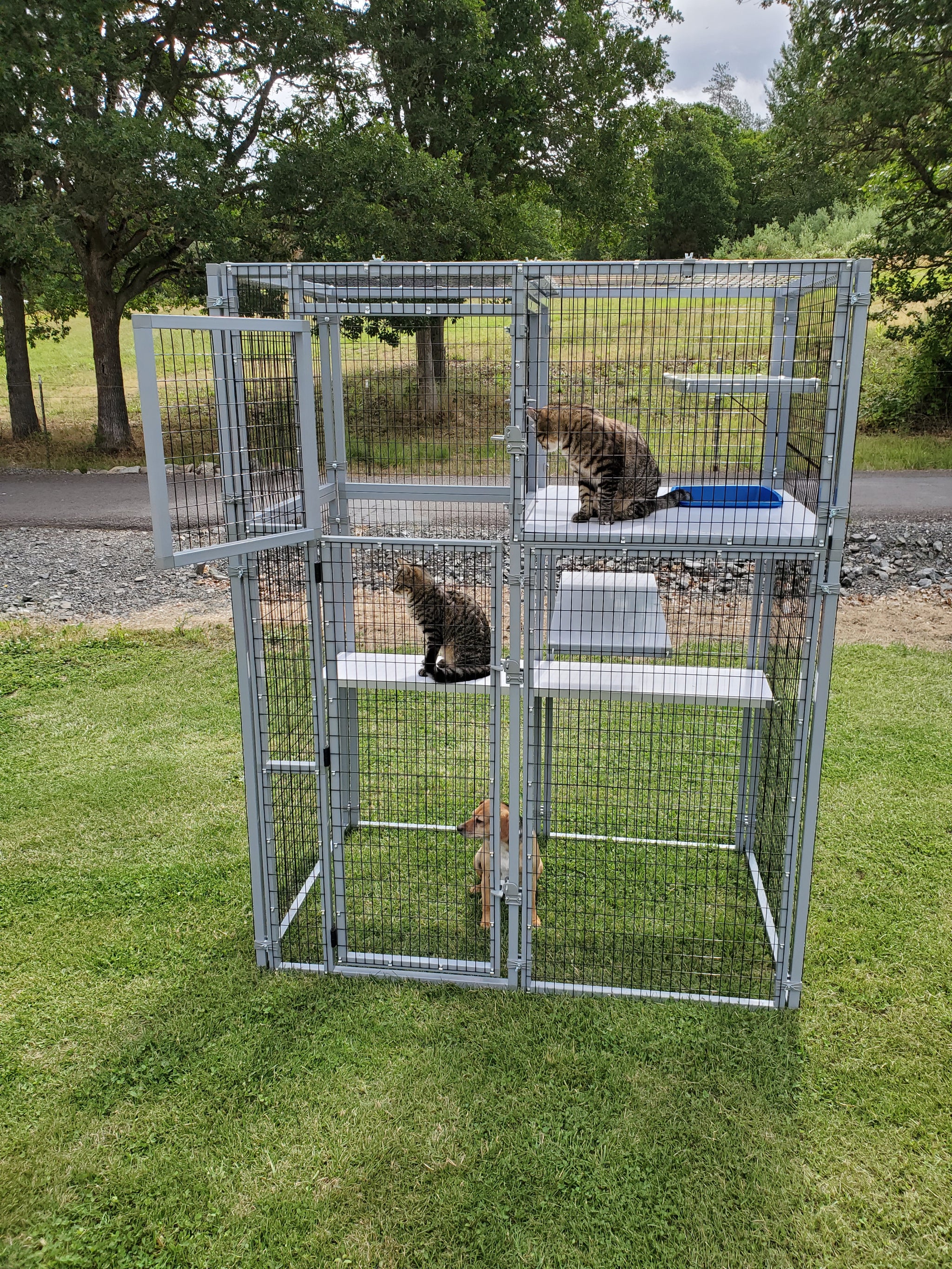 WALK-IN ENCLOSURE MODEL 535-A – My Pet Cages