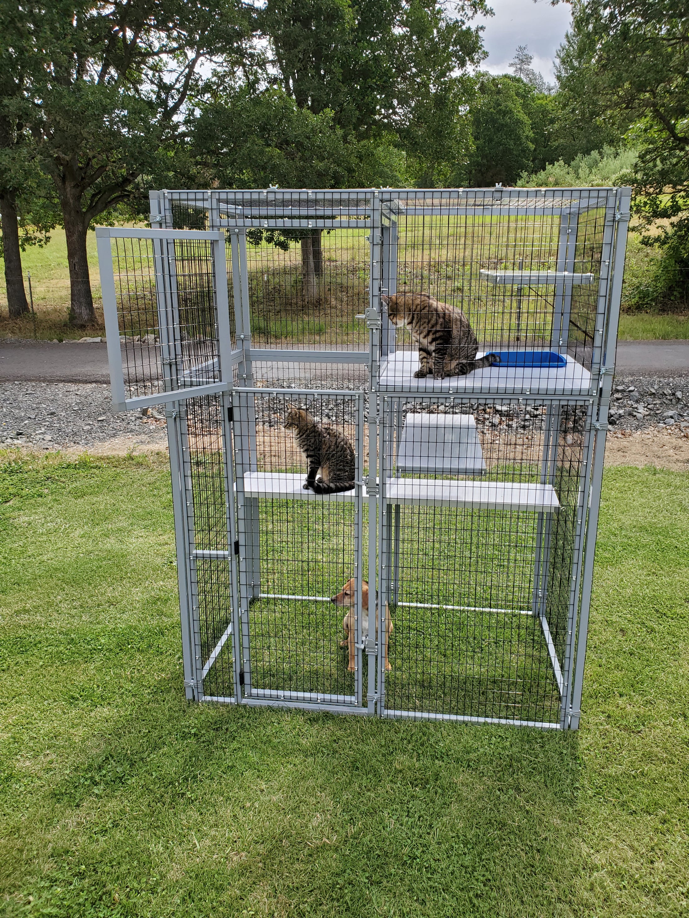 WALK-IN ENCLOSURE MODEL 535-A – My Pet Cages