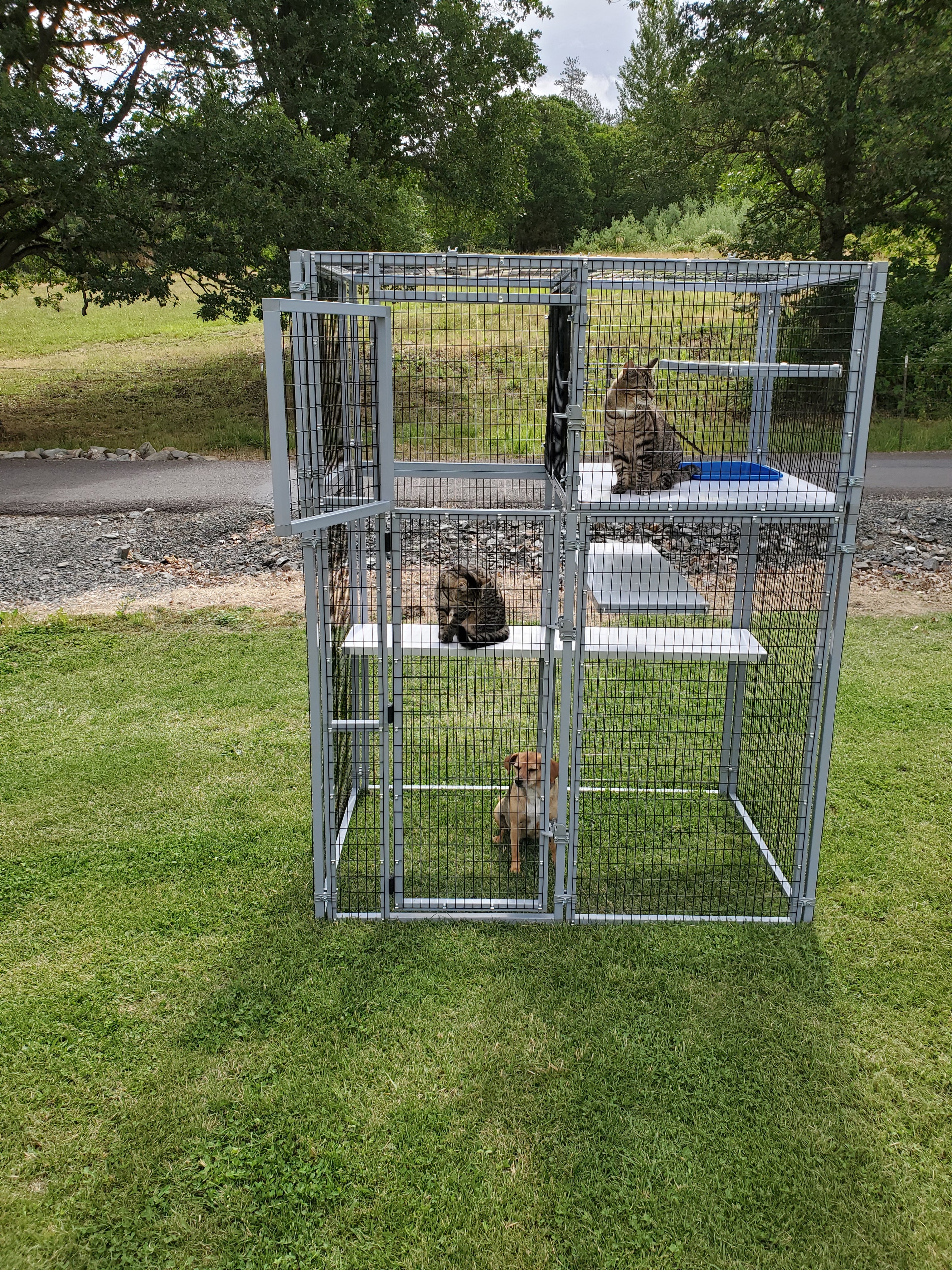 WALK-IN ENCLOSURE MODEL 535-A – My Pet Cages