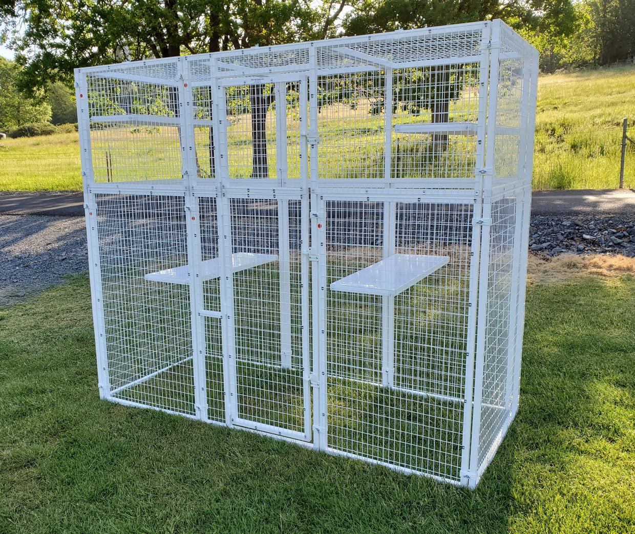 Walk In Enclosures | Catios | Large Playpens – My Pet Cages